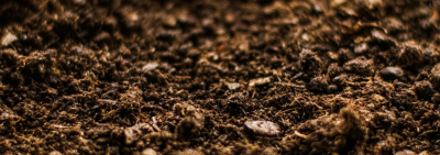 Home [www.natursteinzentrum-rm.de]